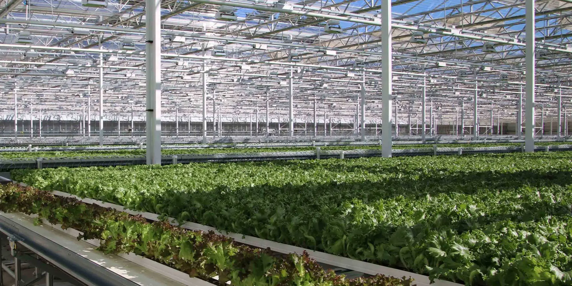 Greenhouse profiles for exterior and interior