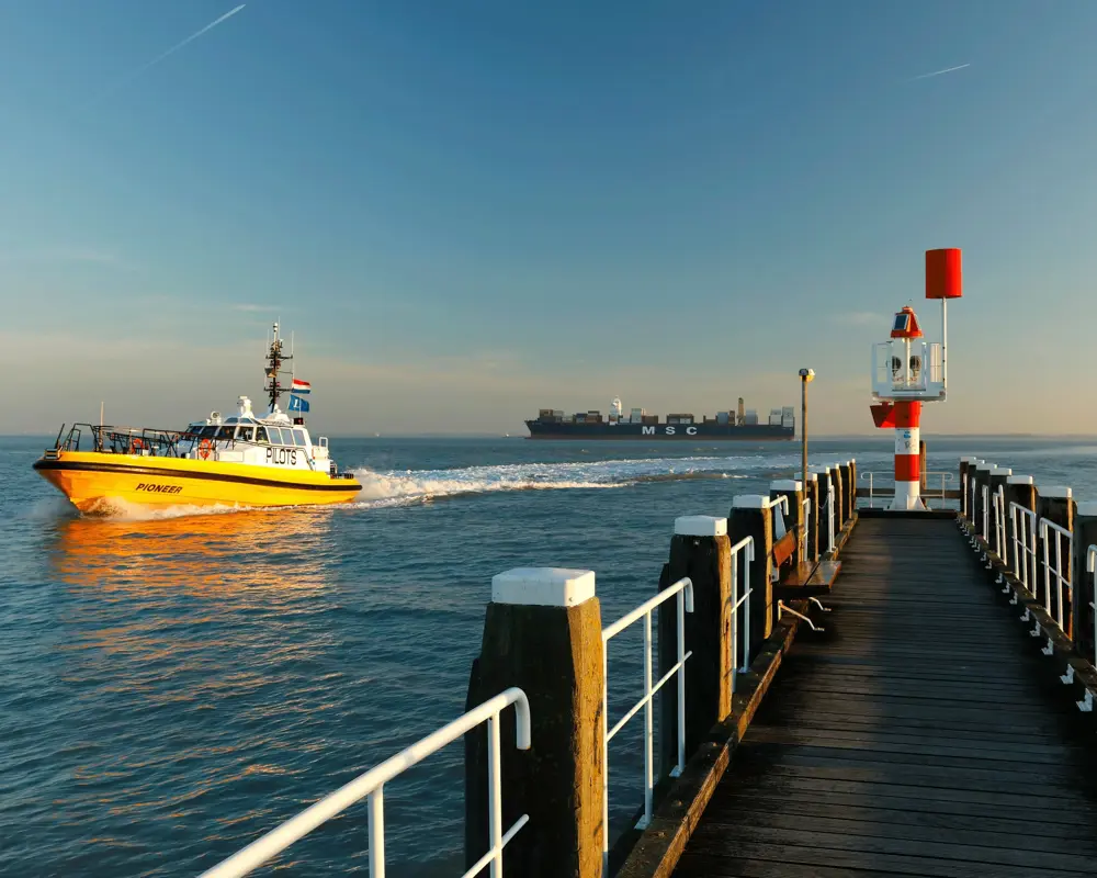 Bumpers, rub rails and protection profiles for boats