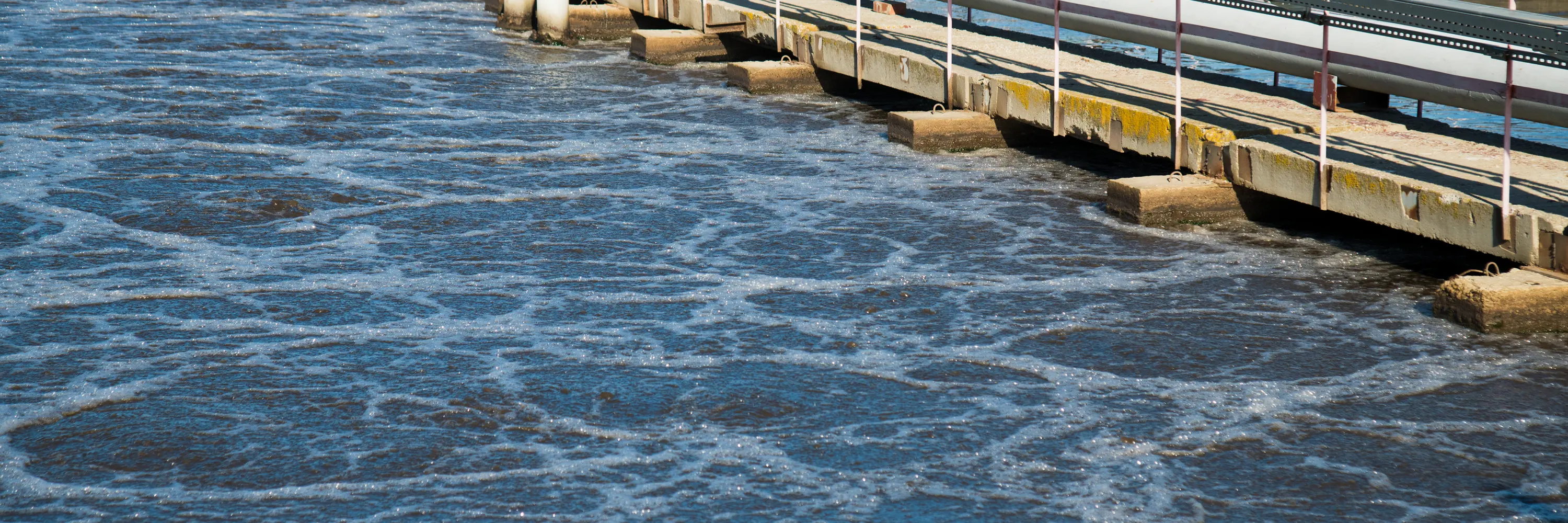 Biomedia for municipal and industrial water treatment